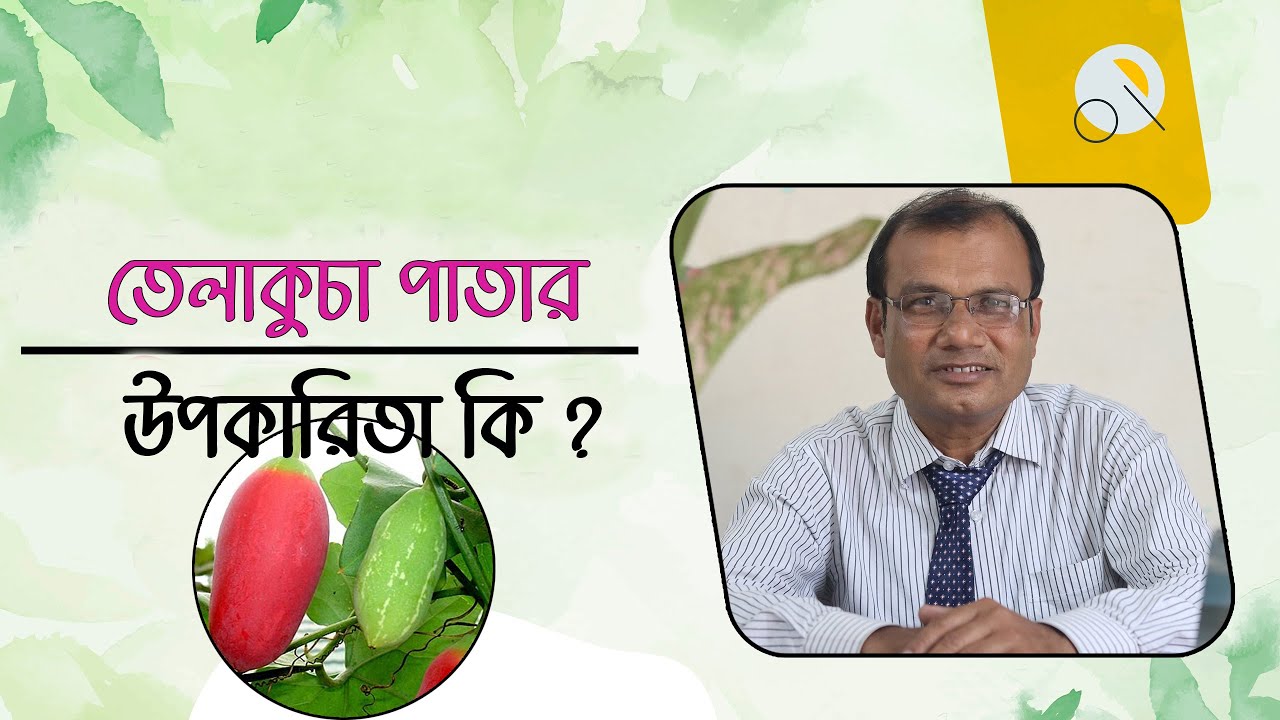 তেলাকুচা পাতার উপকারিতা কি ? তেলাকুচা পাতা ও ফল সব রোগের ঔষধ জেনে নিন ...