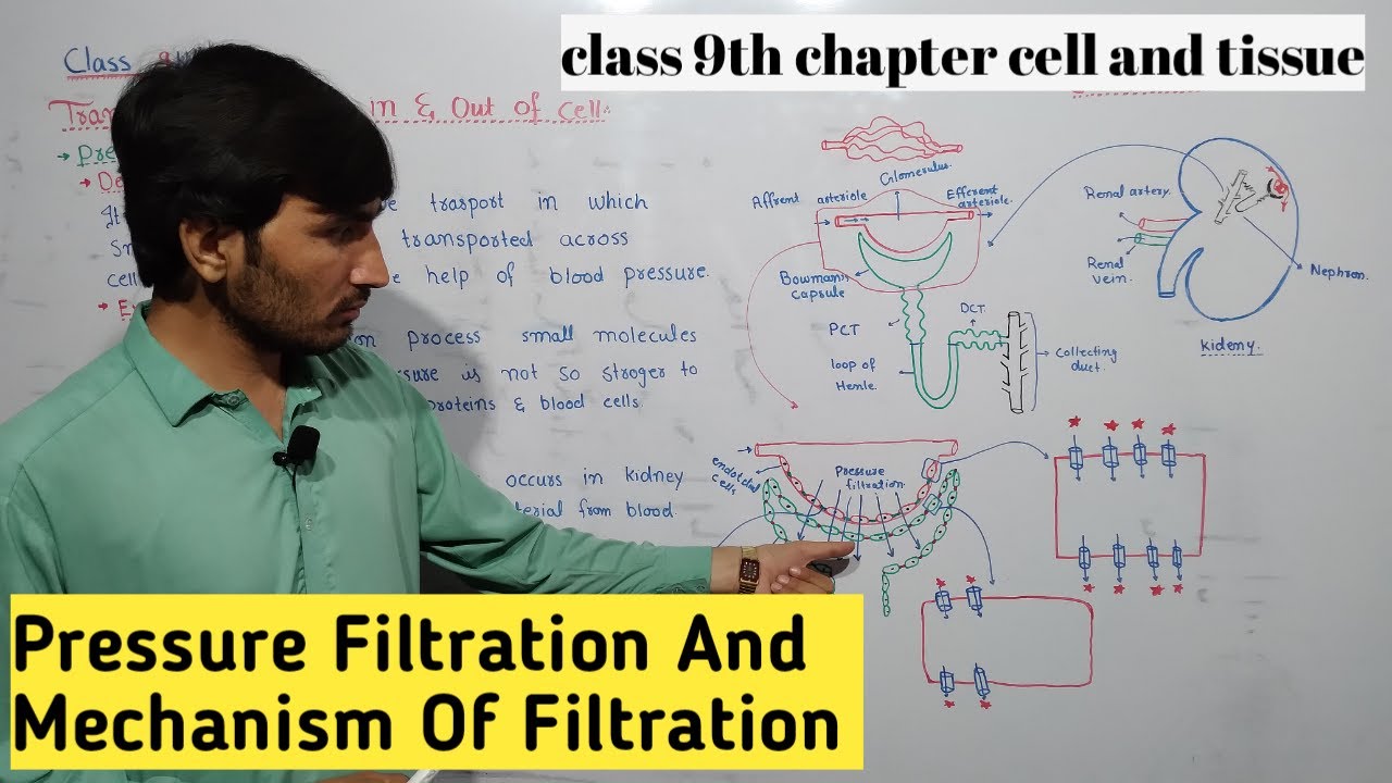 Pressure Filtration and Mechanism | Class 9th | Chapter | cell and ...