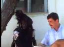 Arap Yapımı