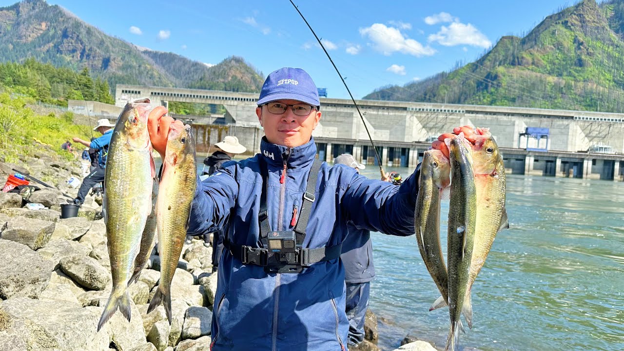 Early Season Bonneville Dam Shad fishing 05/26/24 | How to Fish for ...