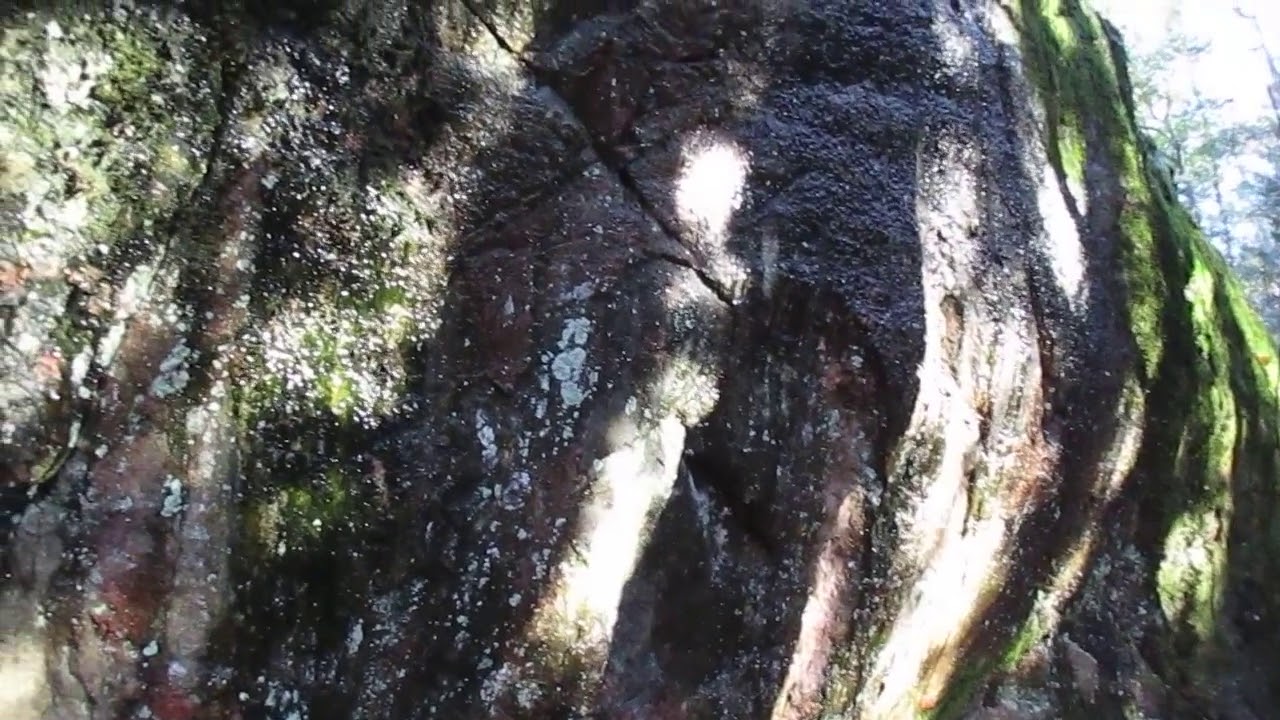 A POEM BY DEREK LYONS - DRIP! DRIP! DRIP! - YouTube