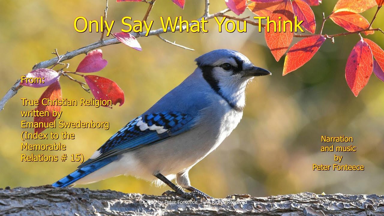 Only Say What You Think - YouTube
