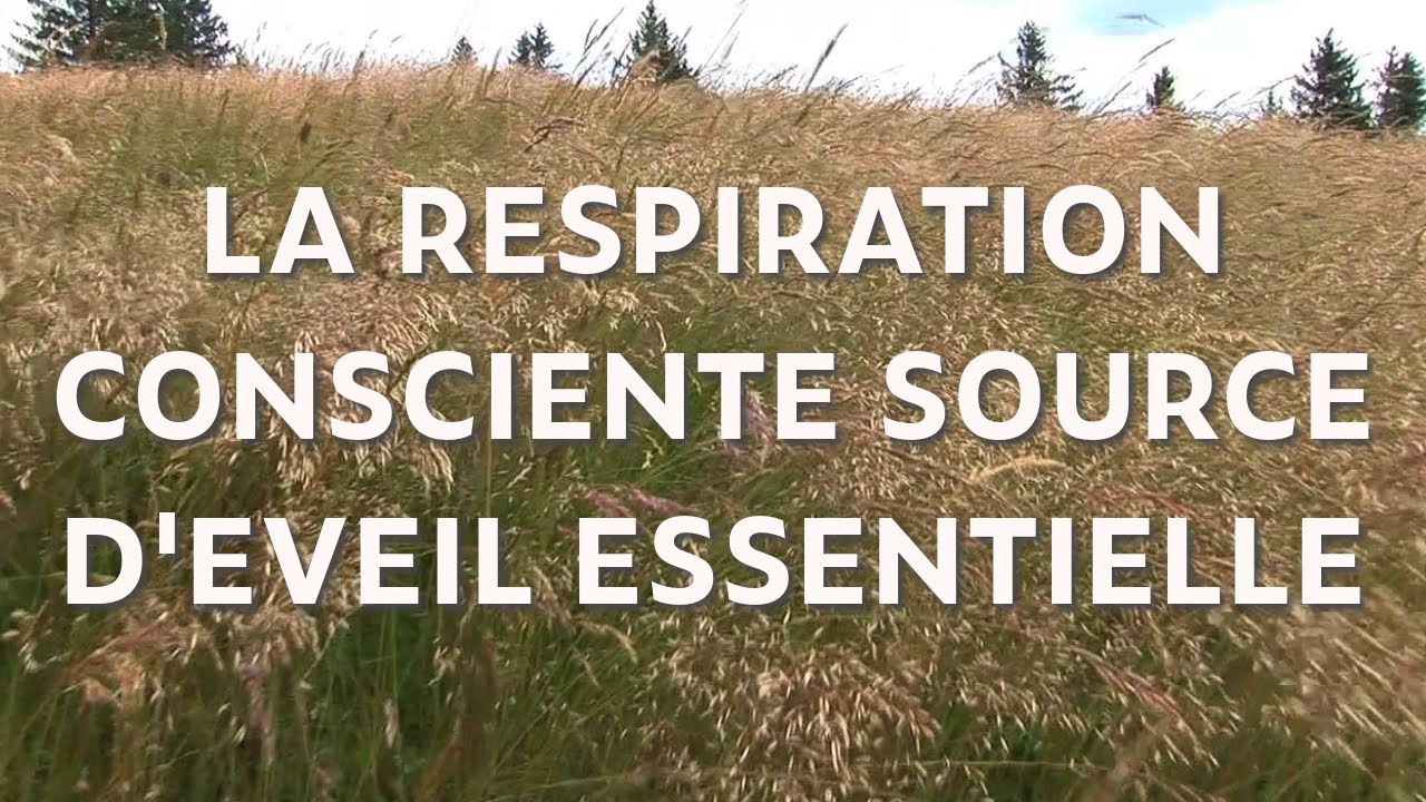 04 - La respiration consciente : source d’Eveil essentielle I Selim ...