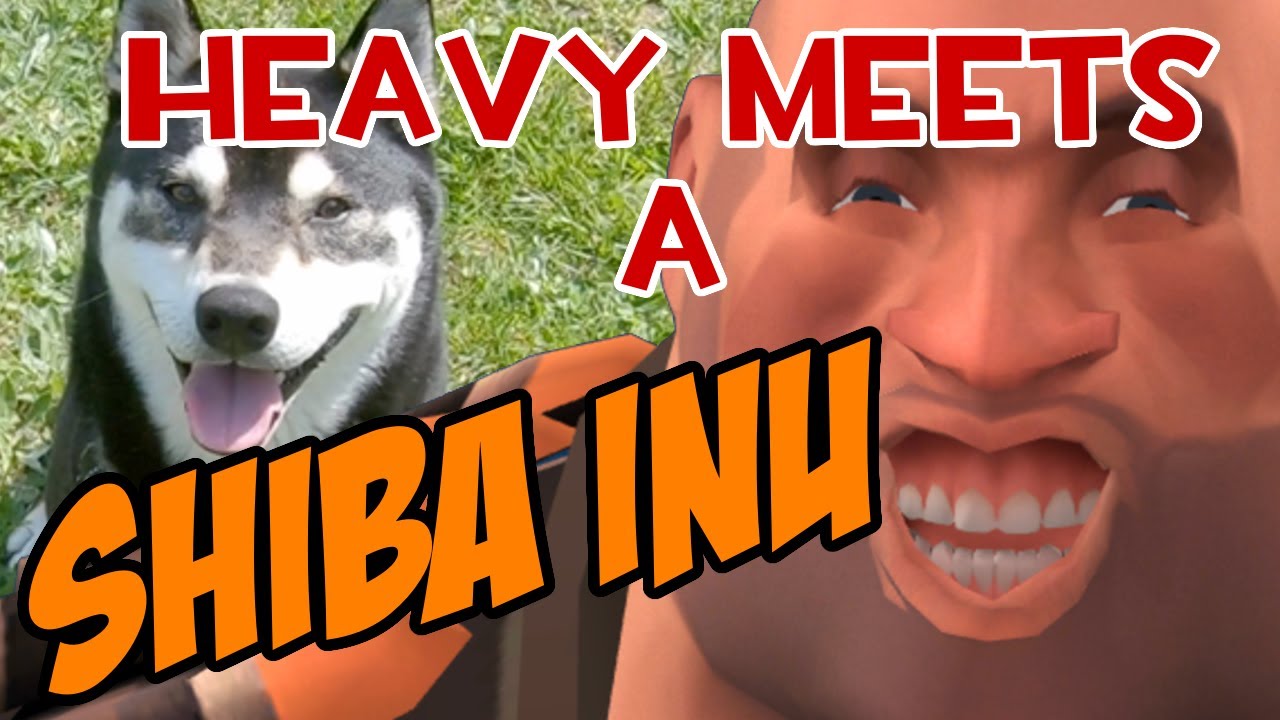 Heavy from TF2 SURPRISED by a SHIBA INU - YouTube