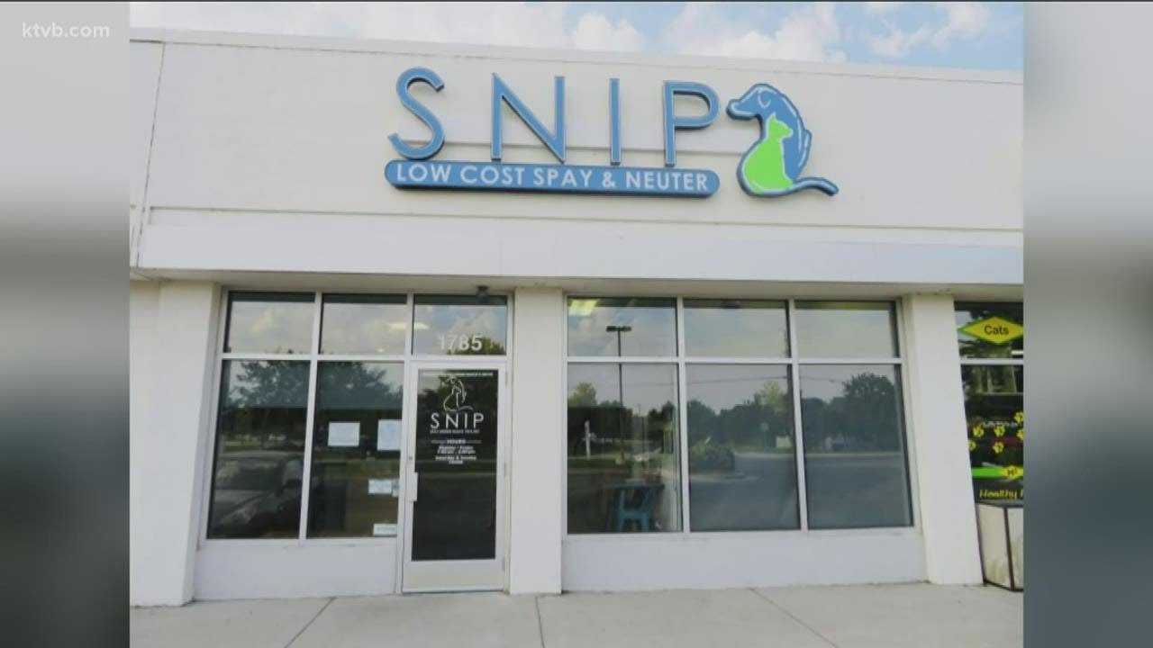 Idaho Gives: Snip Clinic helps pet owners with low cost spay and ...