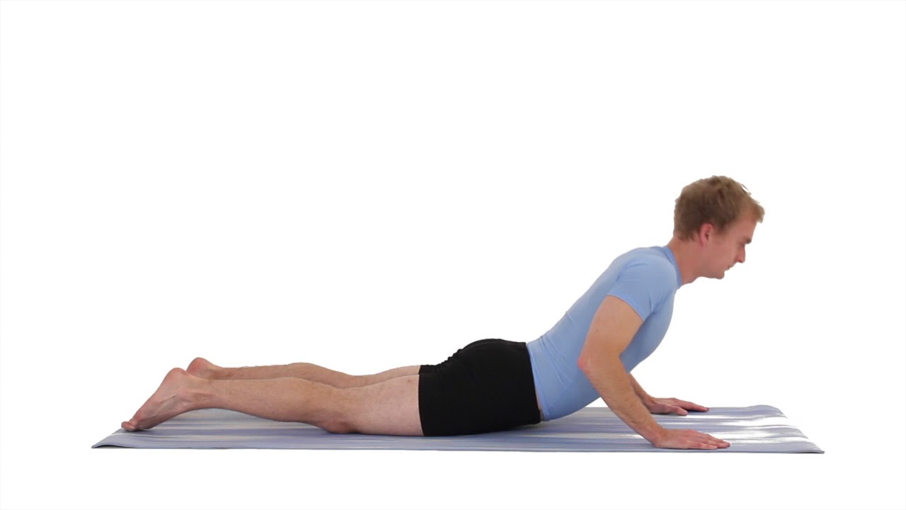 Up Dog Stretch - YouTube