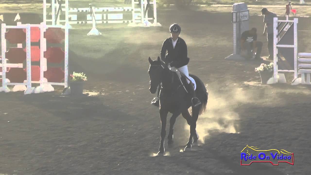 389S Jennifer McFall on Stoneman DF Novice Horse Show Jumping Galway ...
