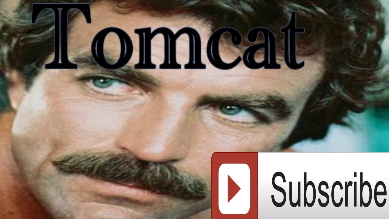 Tomcat - YouTube