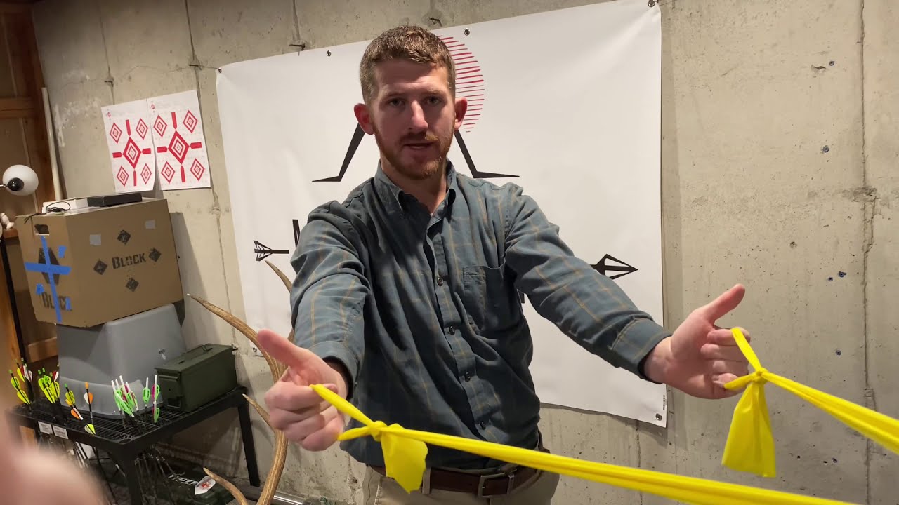 Shoulder flexion really scapular plane elevation or anterior resistance ...