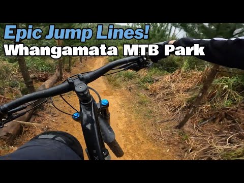 Epic Jump Lines! // Whangamata MTB Park - YouTube