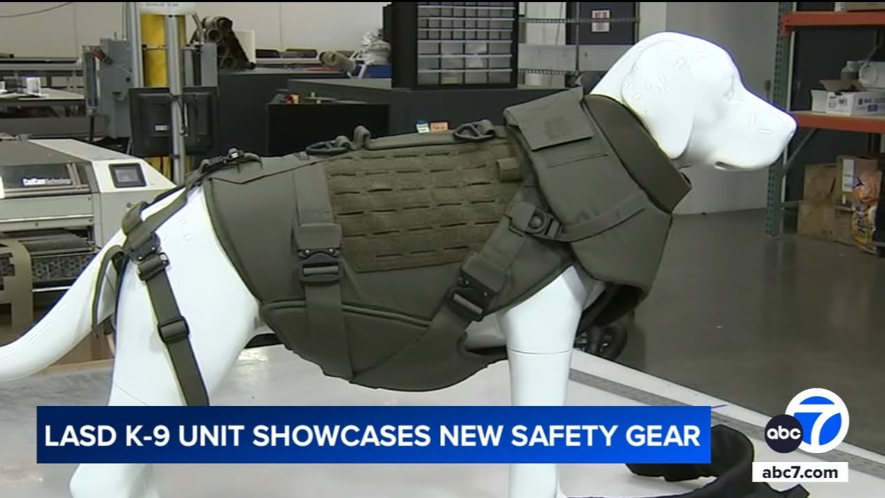Fallen LASD K-9 inspires new ballistic vest designed to protect police ...
