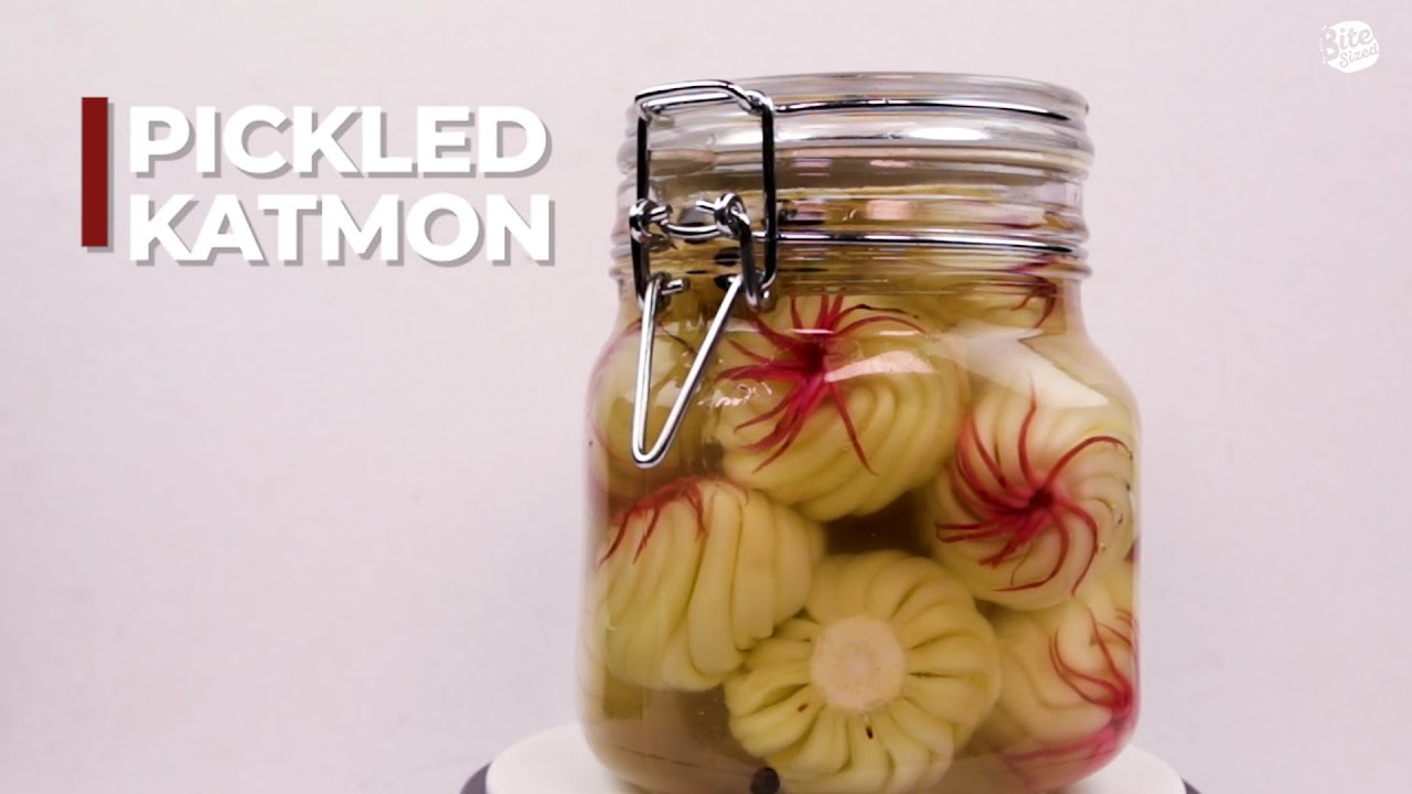 Pickled Katmon - YouTube