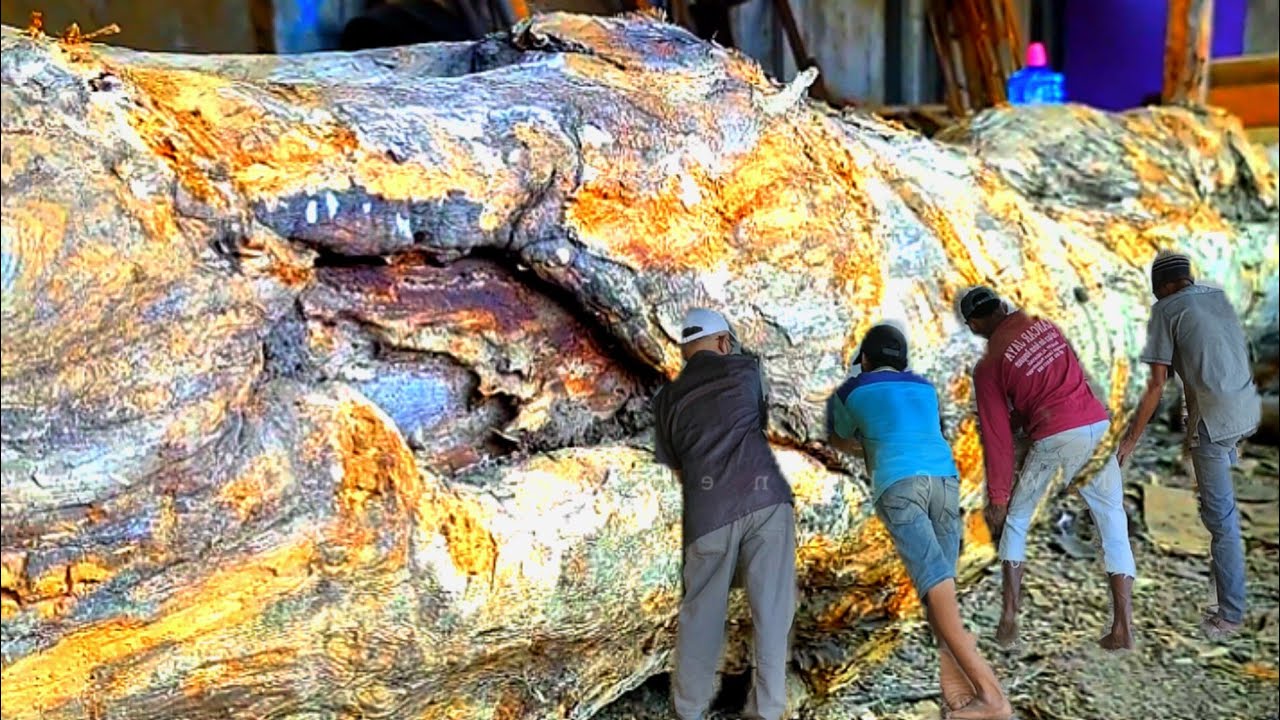 Sawing and Cutting Extraordinary Long Teak Wood || Sawmill #1 - YouTube