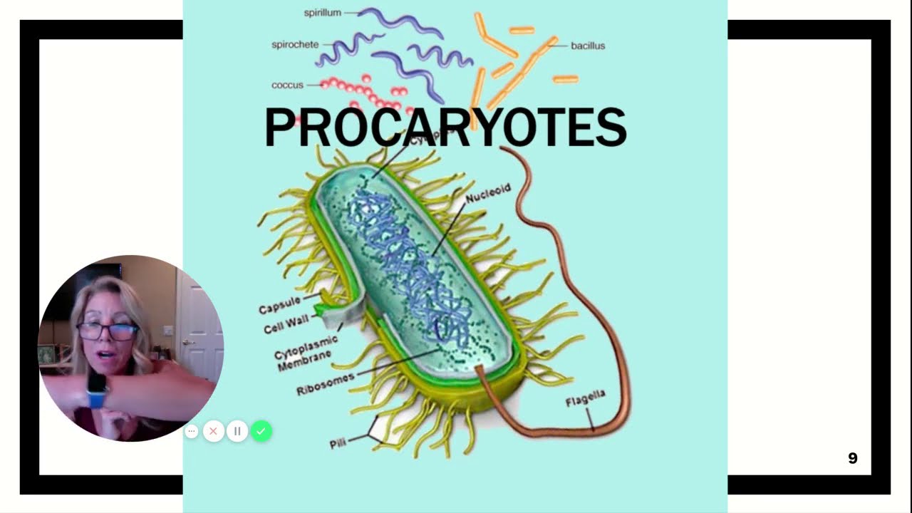 APBio Chapter 4 , Part 1: Intro to Cells & Prokaryotic Cells - YouTube