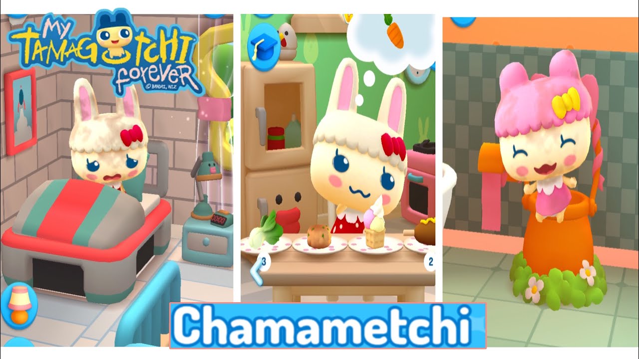 My Tamagotchi Forever - Level 84 gameplay | CHAMAMETCHI - YouTube