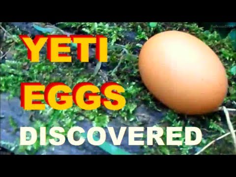 YETI EGGS - WTF UNBELIEVABLE RARE FOOTAGE OF NEWBORN BABY EGGS - YouTube