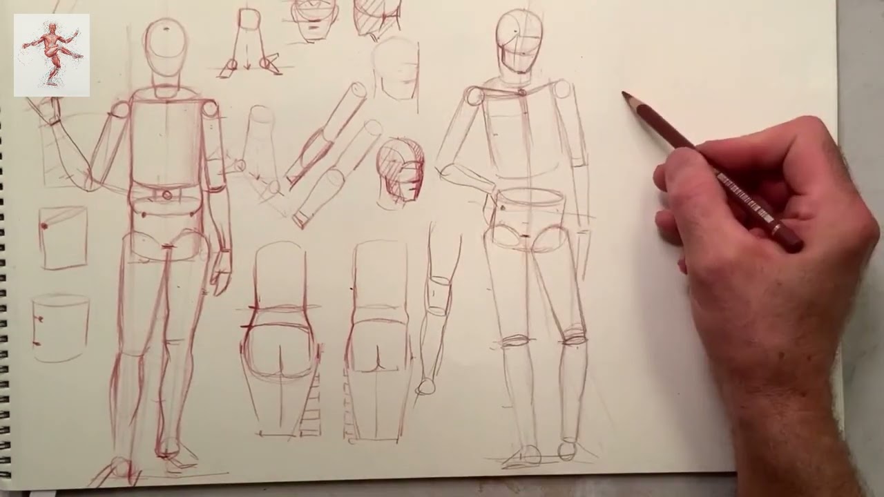 Block Figures, the Male Body - Time Lapse - YouTube