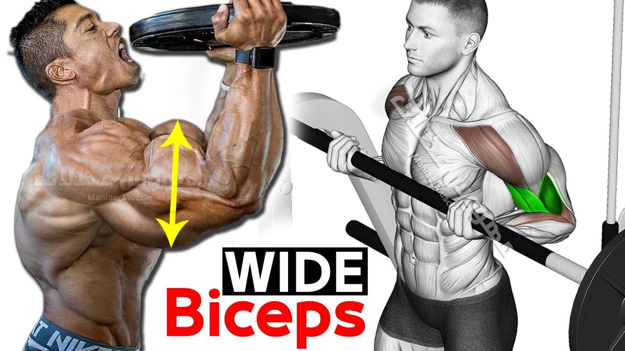6 BEST Exercises for WIDER BICEPS - YouTube