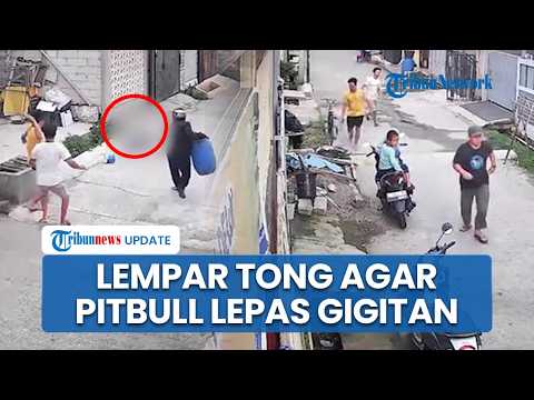 Pitbull Serang Bocah Perempuan di Bandung hingga Luka Parah, Warga Lemparkan Berbagai Benda