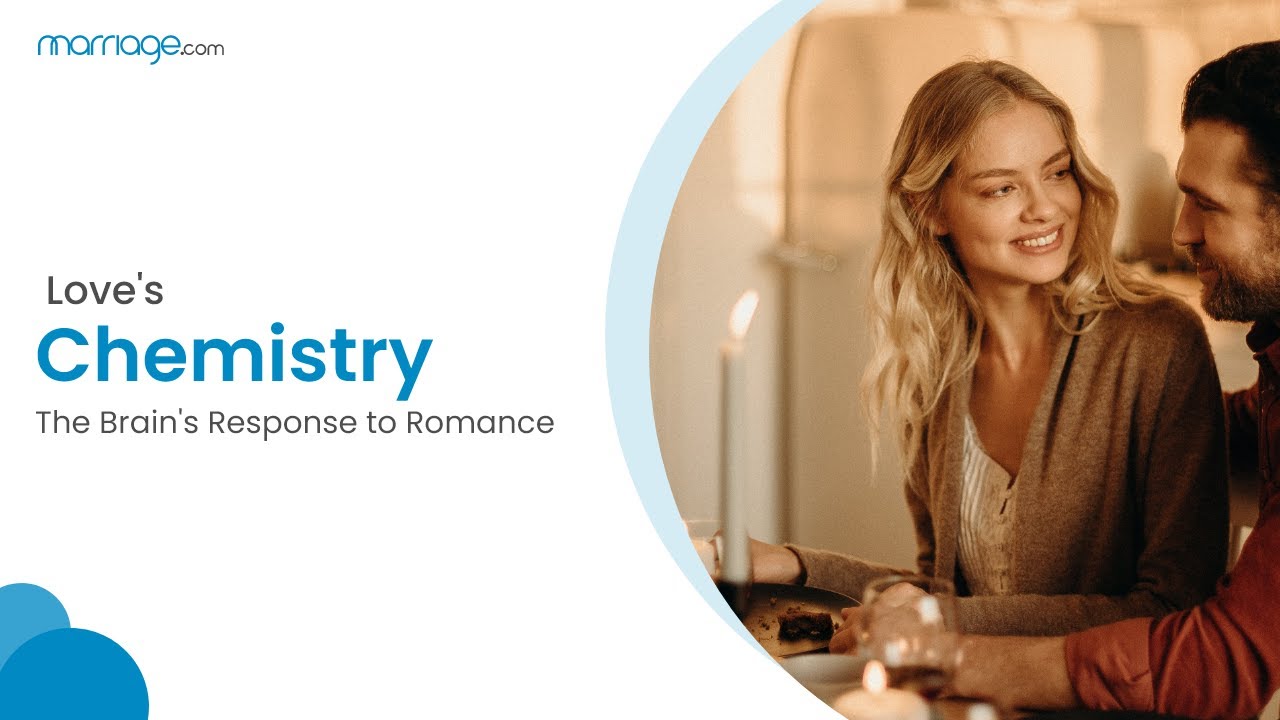 What Is the Science of Love? - YouTube