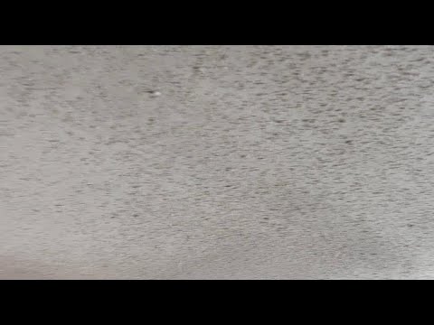 Popcorn drywall ceiling repair - YouTube