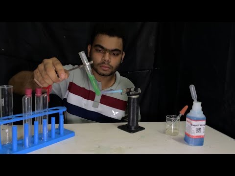 1st puc biology experiment Detect the presence of proteins (protein ...