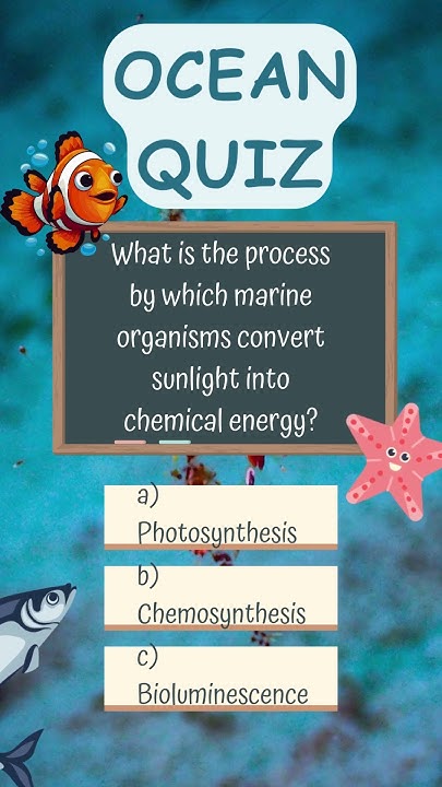 Ocean Quiz # 37 #facts #oceanmysteries #quiz #oceanmystery # ...