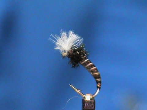 Fly Tying a Moose Mane Midge with Jim Misiura - YouTube