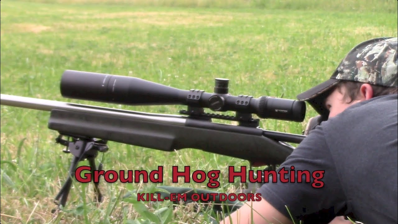 Ground Hog Hunting - YouTube