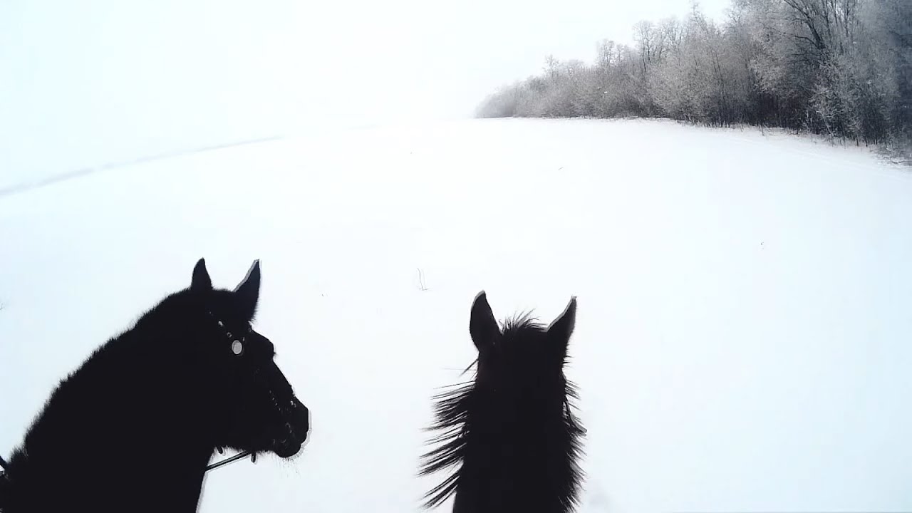 Ride [GoPro HORSE Riding] - YouTube