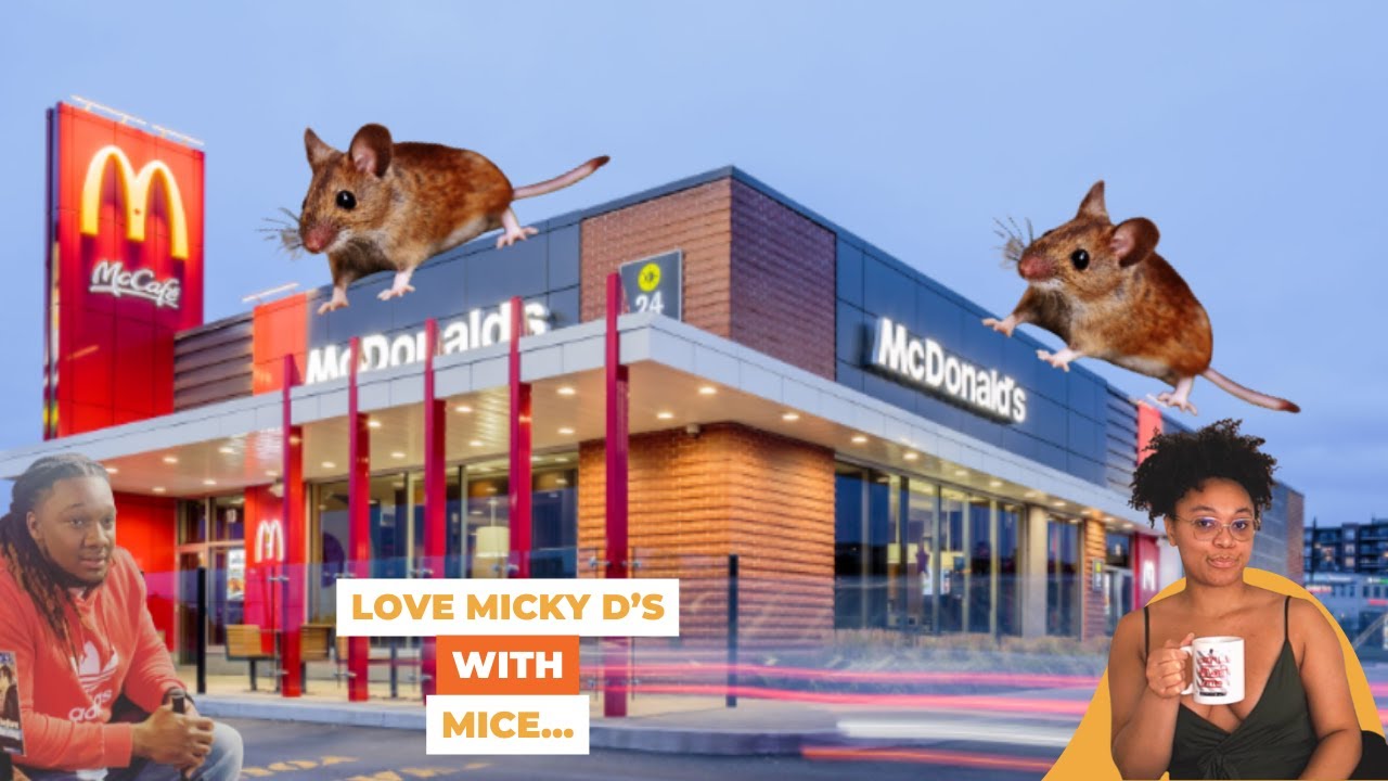 Trucker Ordered To Deliver Mice-Infested Food To McDonald's Restaurants ...
