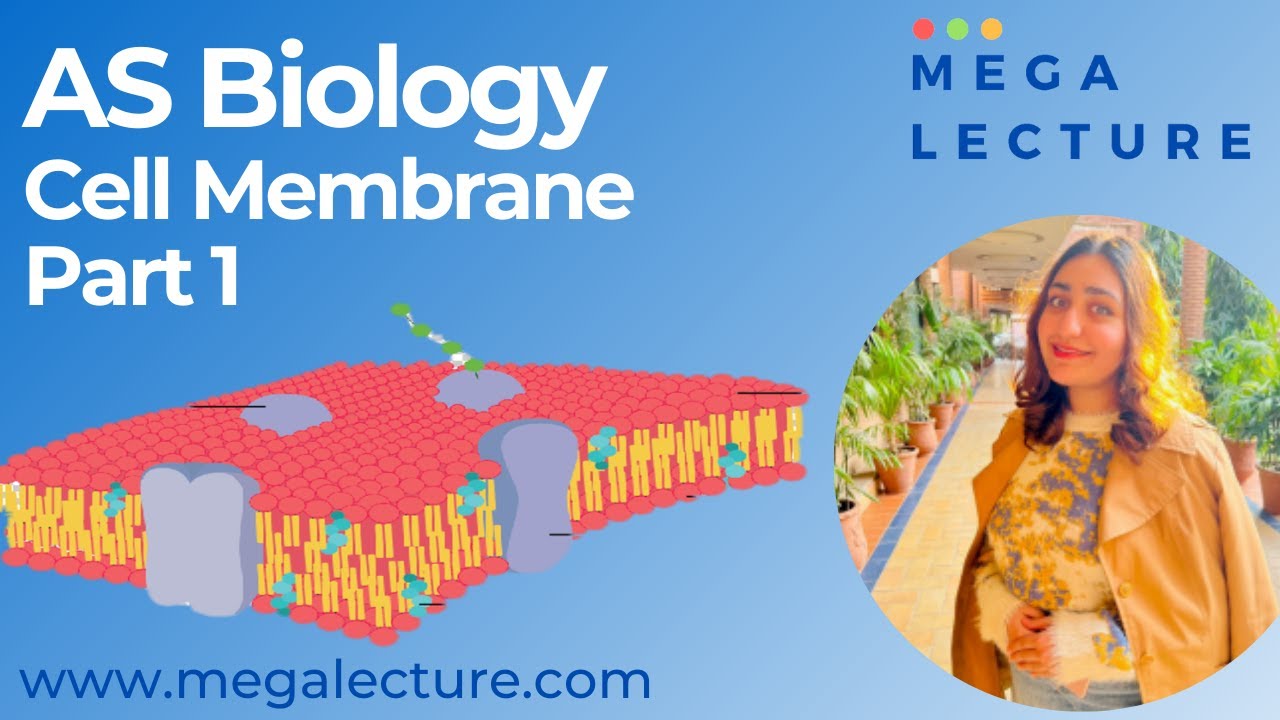 AS Level Biology - Topic 4 - Cell Membrane Part 1 - Cell Membrane ...