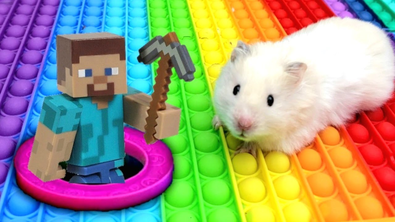 Hamster Escapes Prison Maze 🐹 Hamster Adventures Best Mazes for Pets in ...