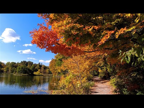 4k Beebe Lake - Autumn Foliage Hike - YouTube