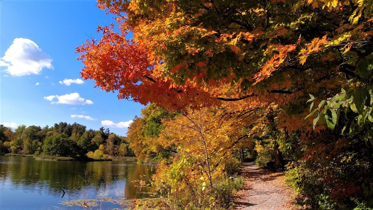 Beebe Lake - Autumn Foliage Hike (New York) [4k] - YouTube