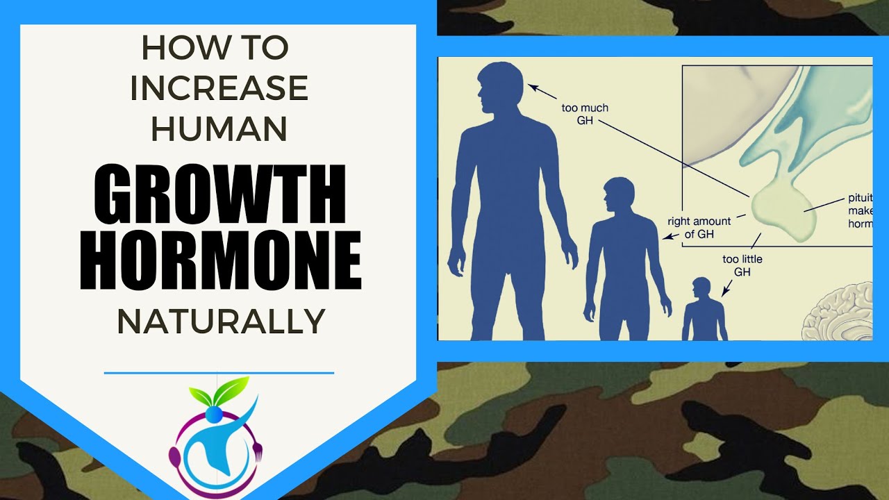 Human Growth Hormone - How To Increase Levels Naturally - YouTube