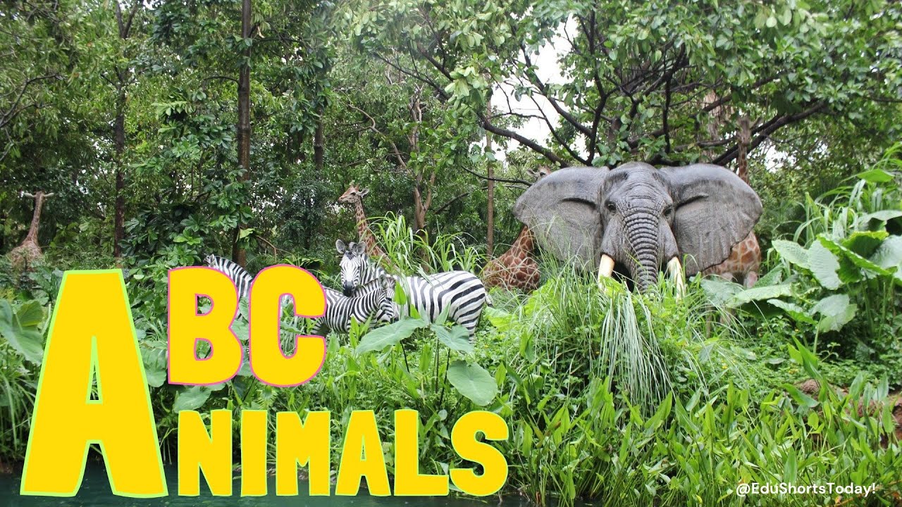 A-Z Alphabet Animals Adventure: Learn and Explore with Cute Animal ...