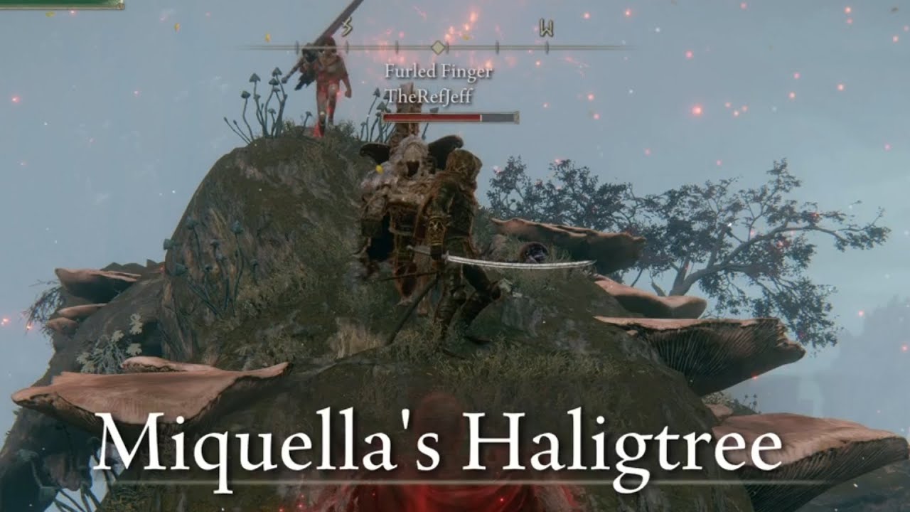 Elden Ring Invasions : Why Are You Crying About 3v1 ? Its Too Easy xd ...