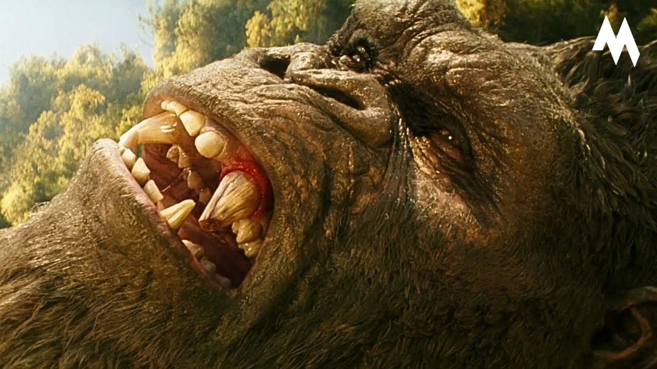 Kong lässt sich einen Zahn ziehen | Godzilla x Kong: The New Empire ...