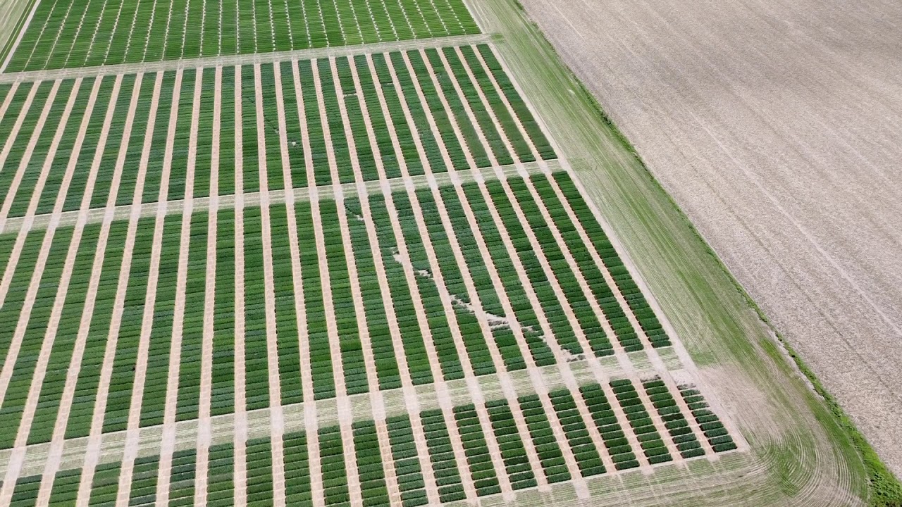 Quick Plot Fly -2020 - YouTube