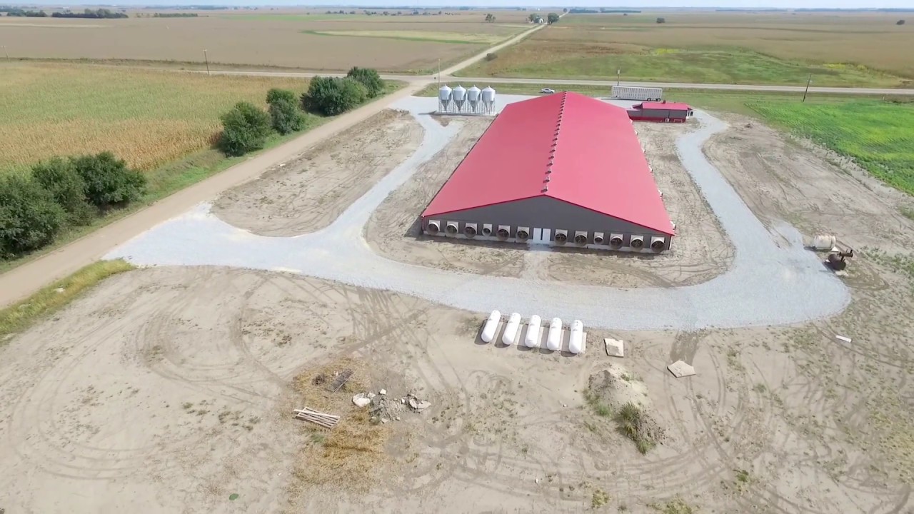 3600 Head Swine Finishing Barn YouTube 3600-head-swine-finishing-barn-youtube