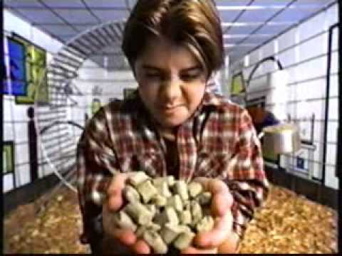 Nick Jr's Blue's Big Marathon Commercials 1998 Part 6 - YouTube