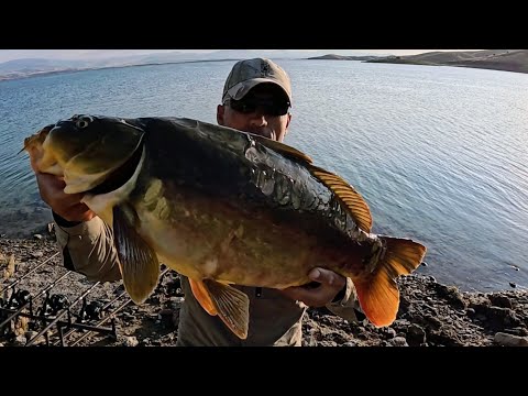 Profesyonel Takım ile Sazan Avı, Carp Fishing