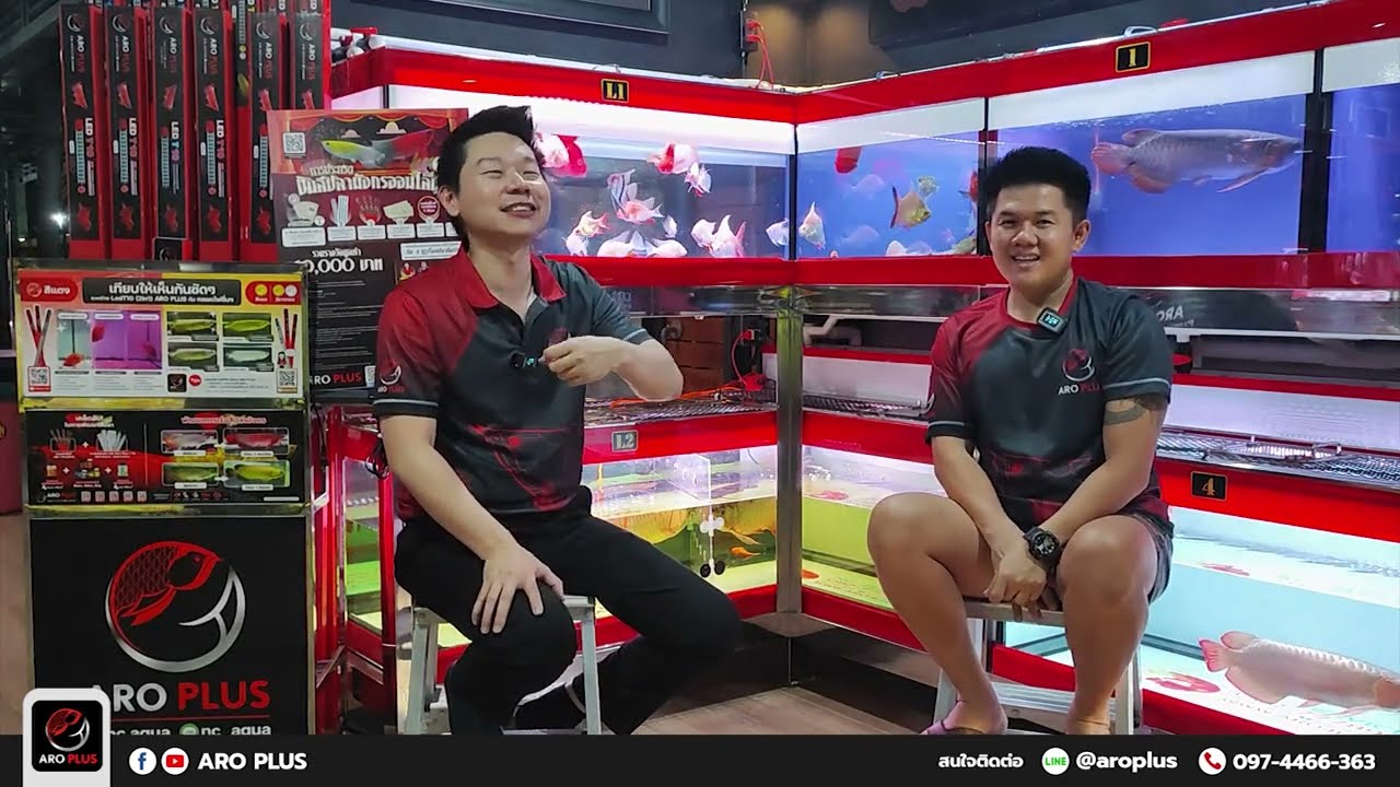 Aro Plus - โครงการประกวด "ปั้นสีปลา Online" ภาค 2 โดยผลิตภัณฑ์ Aro Plus คลิกชมรายละเอียดได้เลย ...