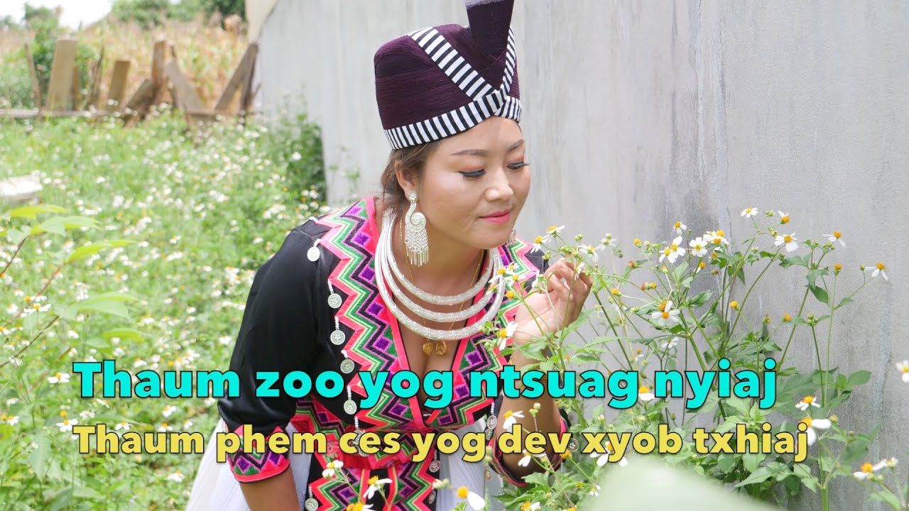 Thaum zoo yog ntsuag nyiaj thaum phem yog maum dev xyob txhiaj 8/24 ...