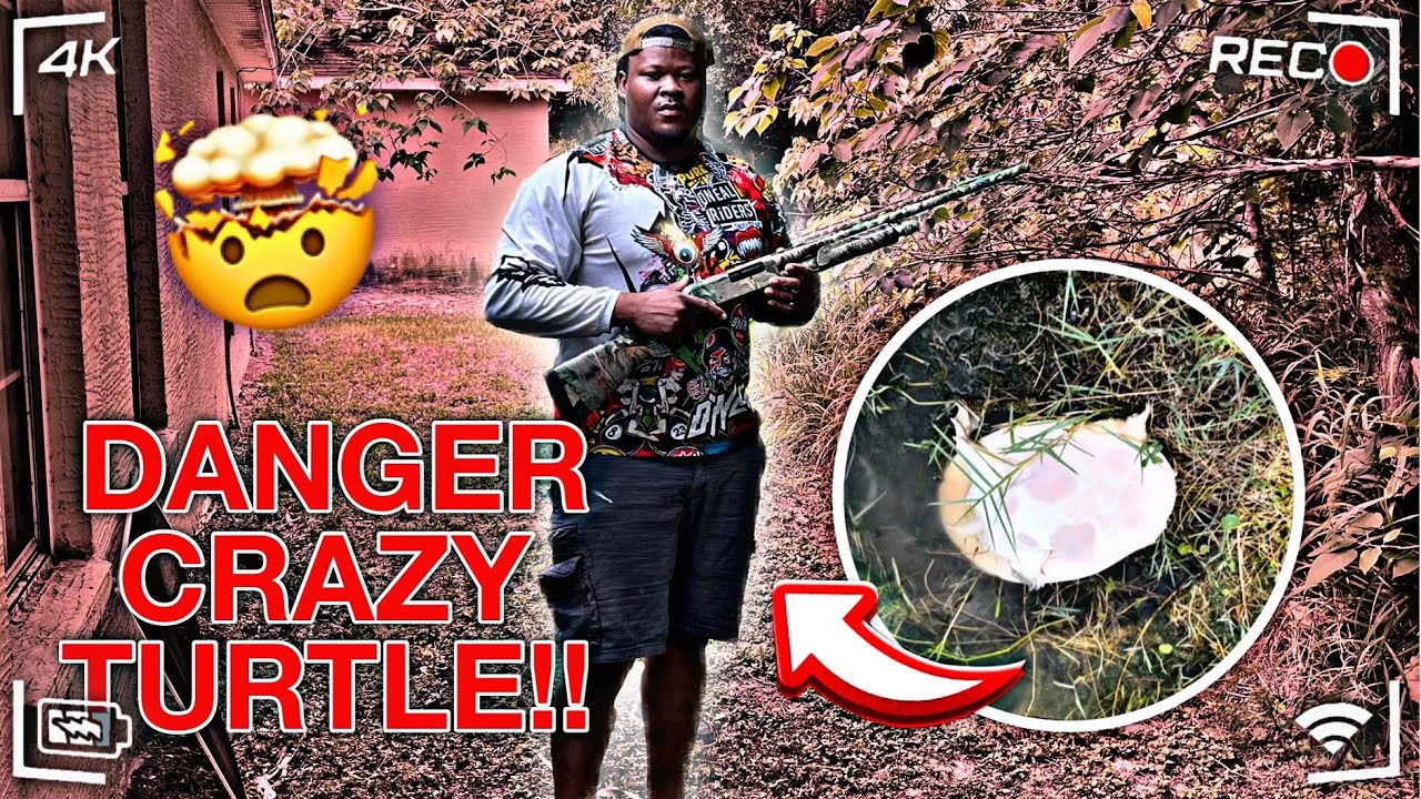 HOW I TAMED A SNAPPING TURTLE.. (AT THE GUN RANGE) - YouTube