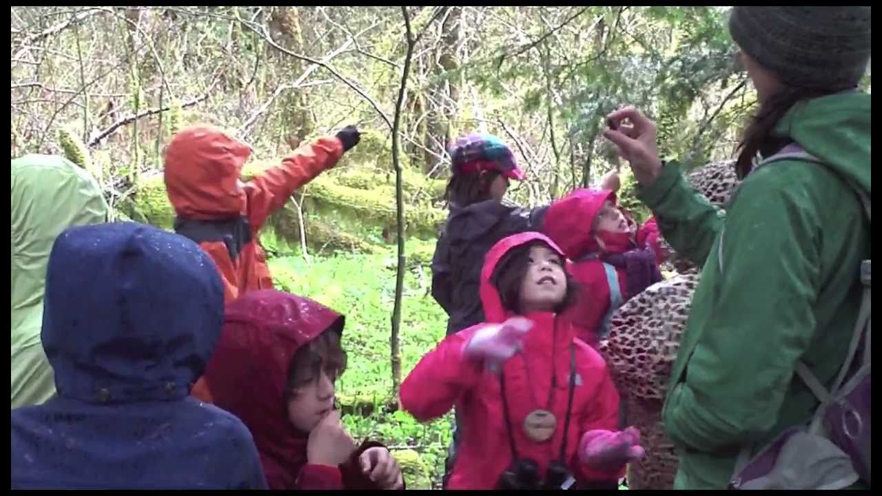 Audubon Society of Portland: Marmot Cabin on the Joe Miller Wildlife ...
