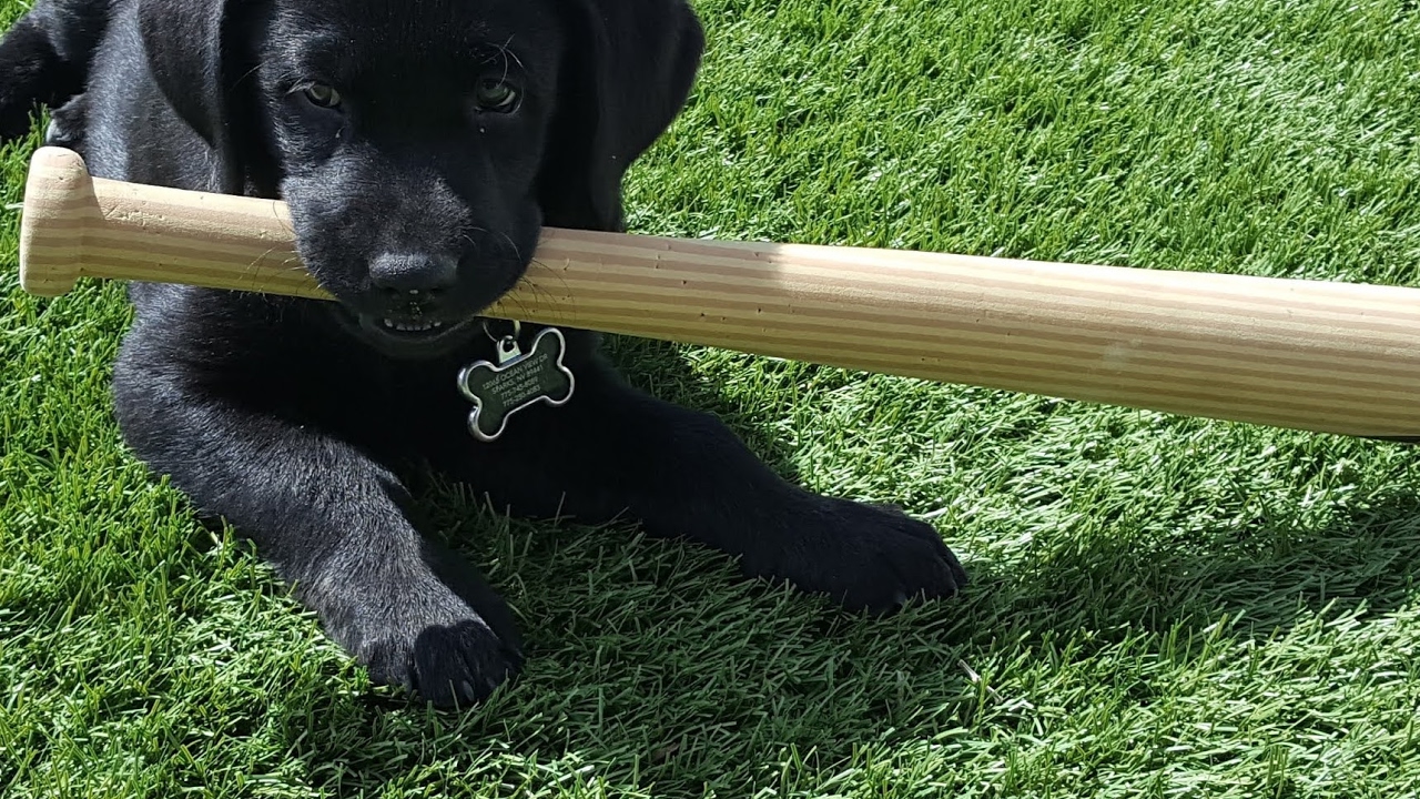 Ashley Key Live Stream - YouTube