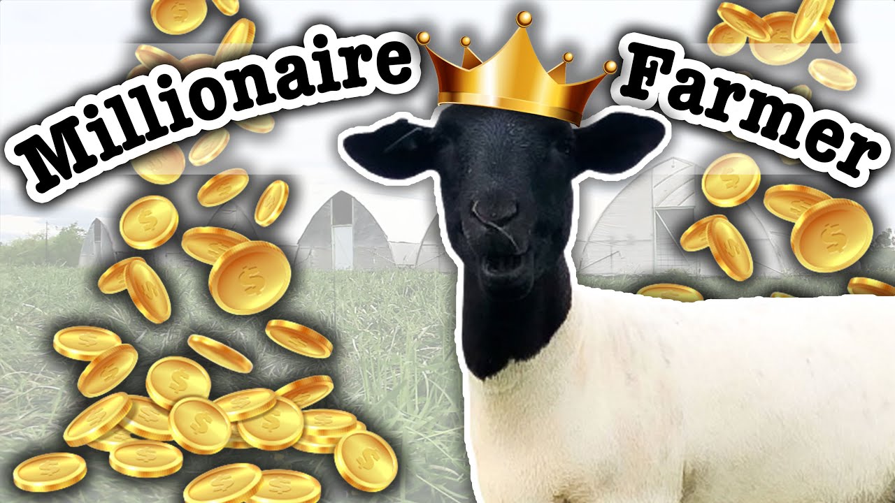 A MILLIONAIRE FARMER TOLD ME THIS // Farm Business & Cattle ...