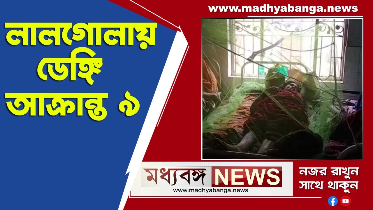 Lalgola : লালগোলায় ডেঙ্গি আক্রান্ত ৯, হাসপাতালে ভর্তি ২ - YouTube
